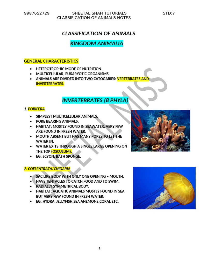 Classification of Animals Notes STD 7 2022 | PDF | Invertebrate | Organisms