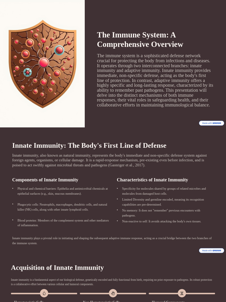 Immune System Overview: Innate & Adaptive | PDF | Immune System ...