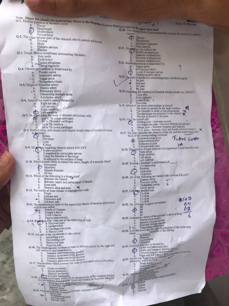 Anatomy Paper | PDF