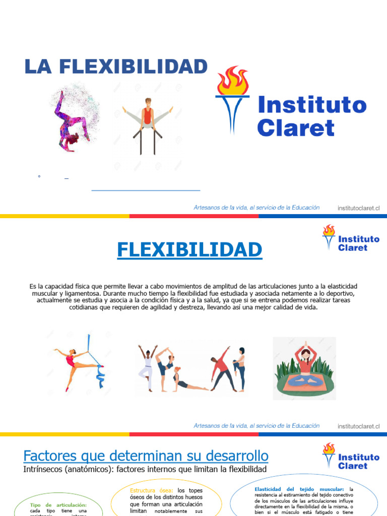 La Flexibilidad | PDF | Flexibilidad (anatomía) | Músculo