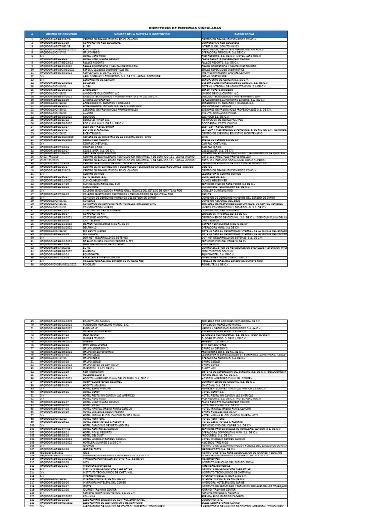 Directorio de Empresas - Dge | PDF
