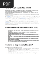 ISPS 10 - IsPS Internal Audit Checklist | PDF