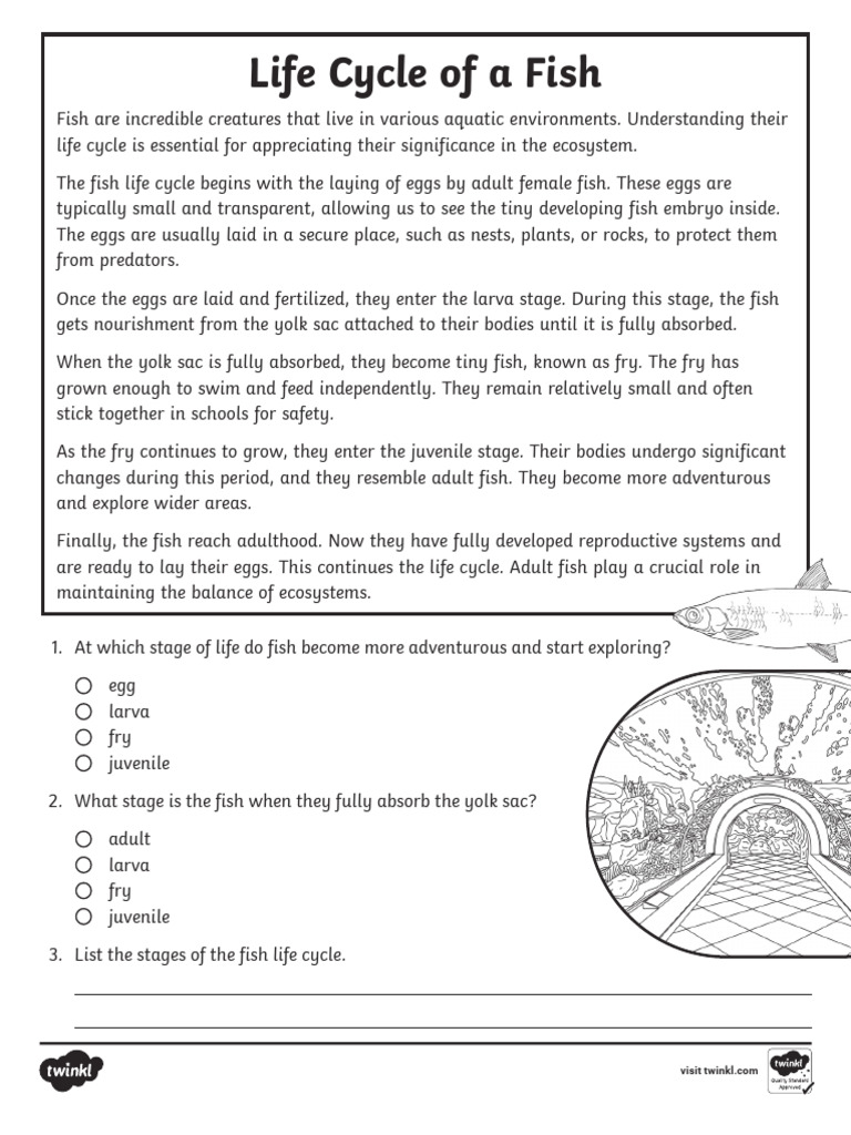 BW Life Cycle of A Fish Reading Passage Comprehension Activity | PDF