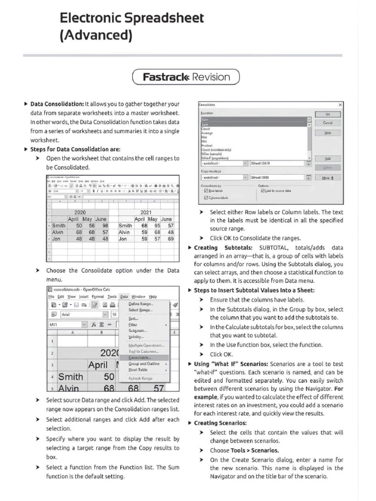 Electronic Spreadsheet | PDF