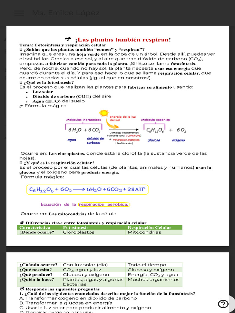 Guía de Fotosíntesis y Respiración | PDF | Fotosíntesis | Plantas