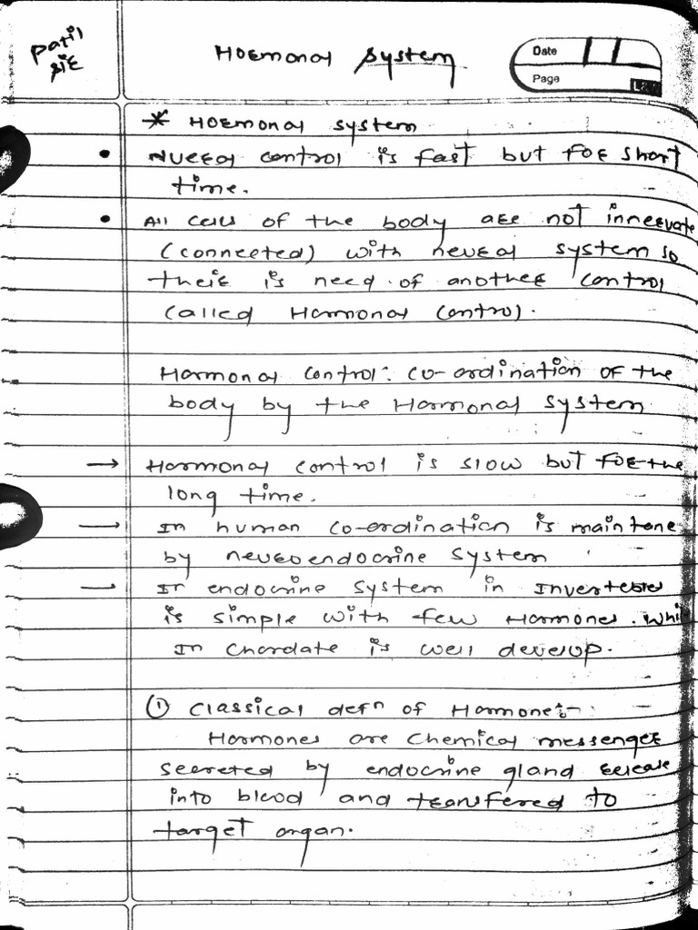 Hormonal System in Animals Handwritten Notes | PDF | Biochemistry ...