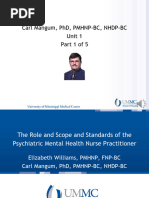 2022 Nonpf NP Role Core Co | PDF | Nurse Practitioner | Health Care