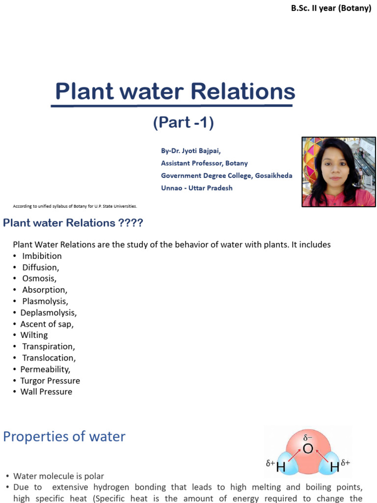 Plant Water Relations Overview | PDF | Osmosis | Water
