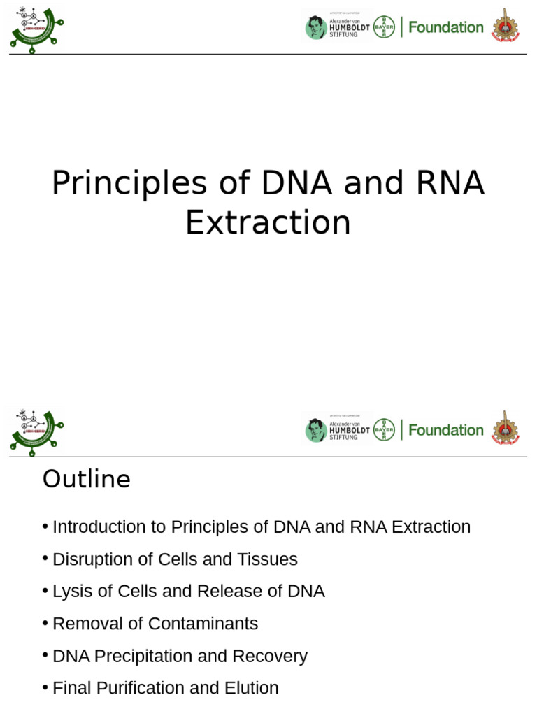 DNA and RNA Extraction Principles | PDF | Lysis | Protein Purification