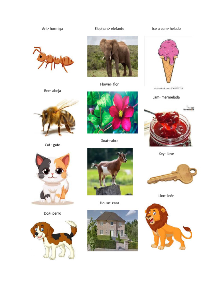 Abc Ingles Ilustrado | PDF