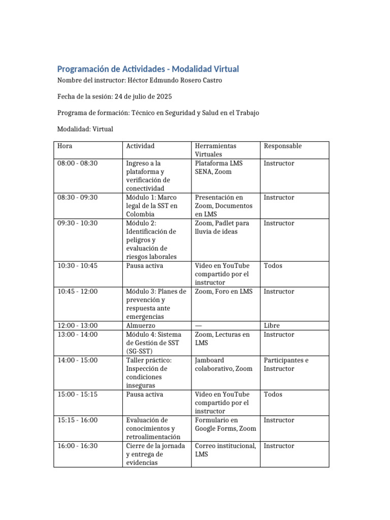 Programacion Actividades SST Virtual | PDF
