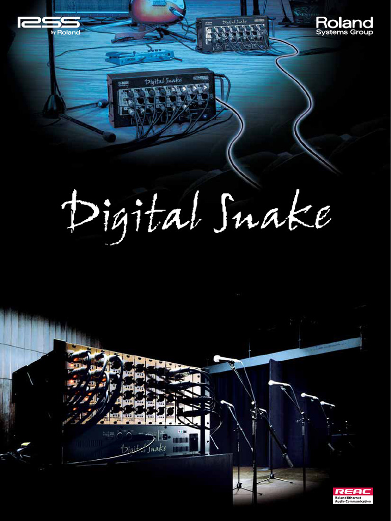 RSS Digital Snake Systems Overview | PDF | Microphone | Cable Television