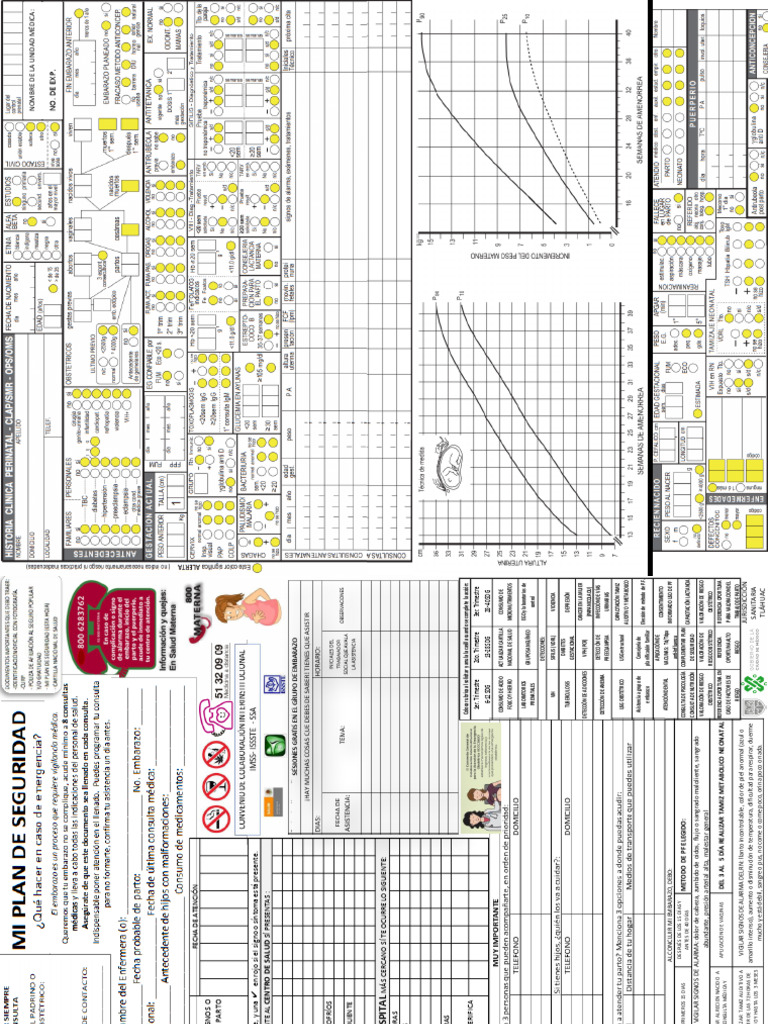 Carnet Perinatal para CS Final | PDF | El embarazo | Infantes