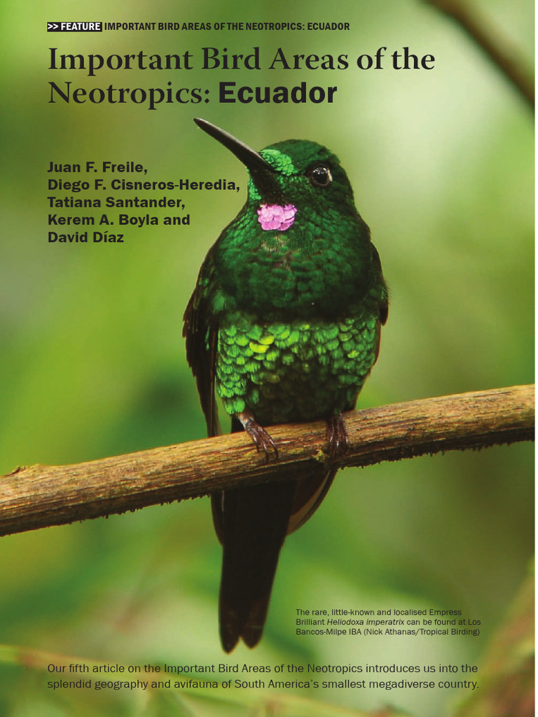 Important Bird Areas of The Neotropics Ecuador | PDF | Ecuador ...