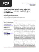 Understanding the Horse's Stay Apparatus | PDF | Skeletal System | Joints