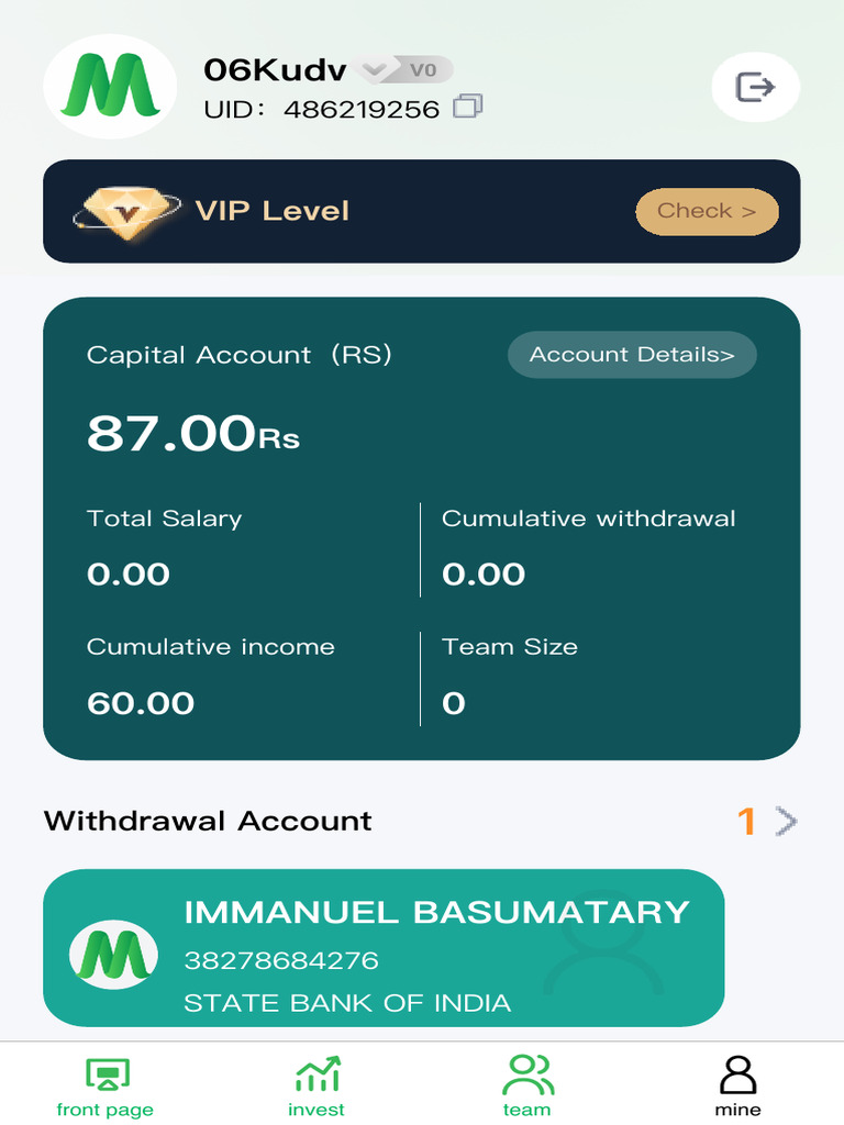 Account Summary for Immanuel Basumatary | PDF