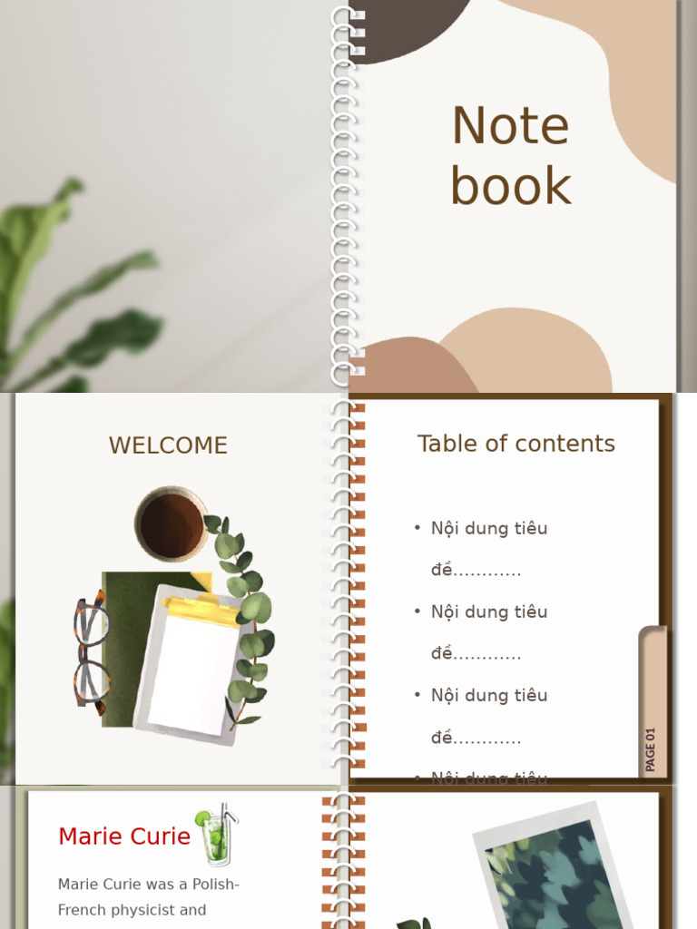 Tiktok Notebook | PDF