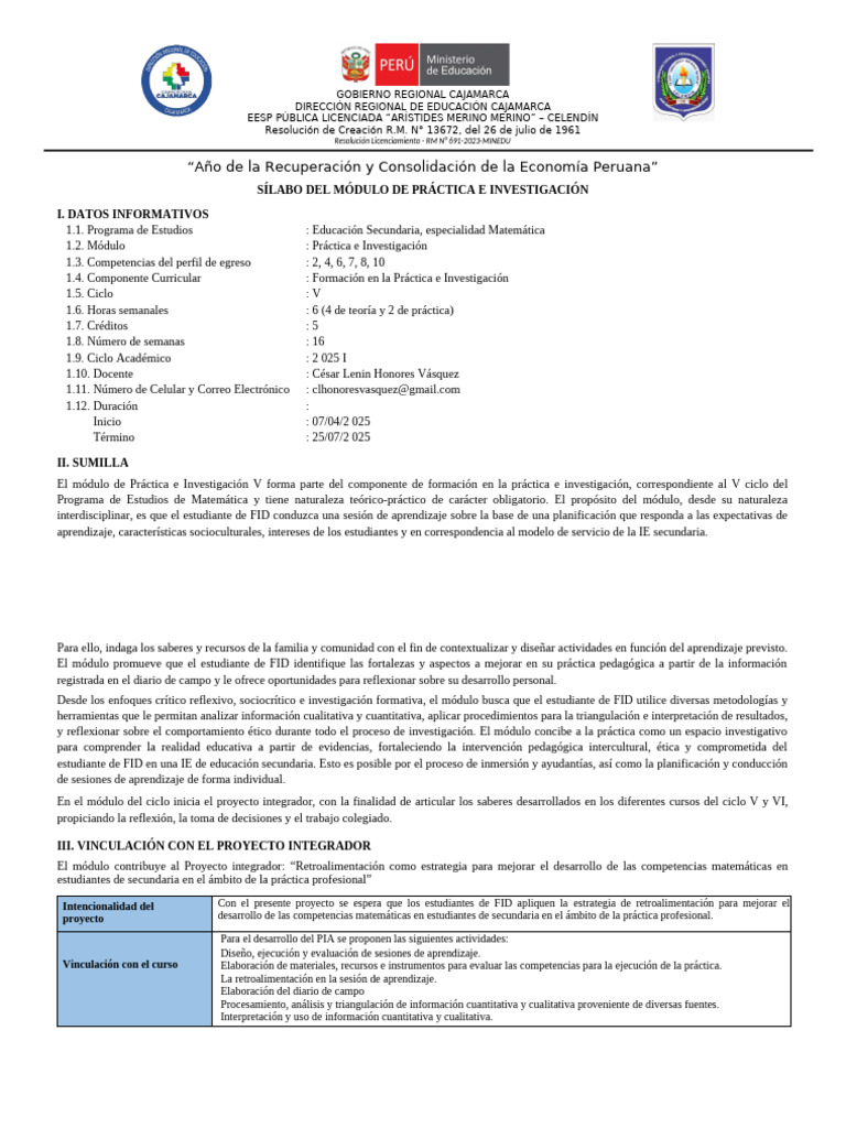 Silab - Práct. e Invest. v-2025 I-Mat V | PDF | Evaluación | Aprendizaje