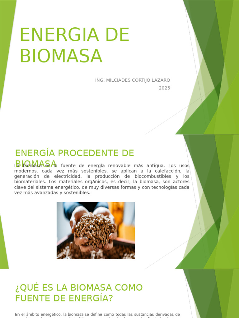 Energia de Biomasa | PDF | Biomasa | Energía renovable