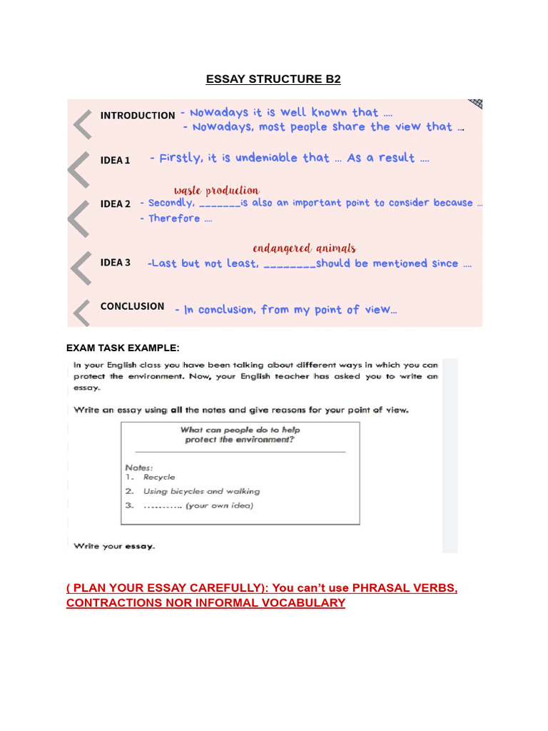 Effective Essay Structure for B2 Environment | PDF