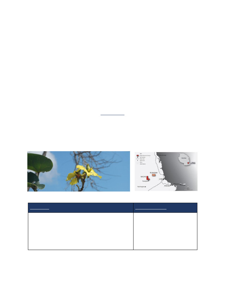 Nachu Graphite Project EIS Overview | PDF | Groundwater | Environmental ...