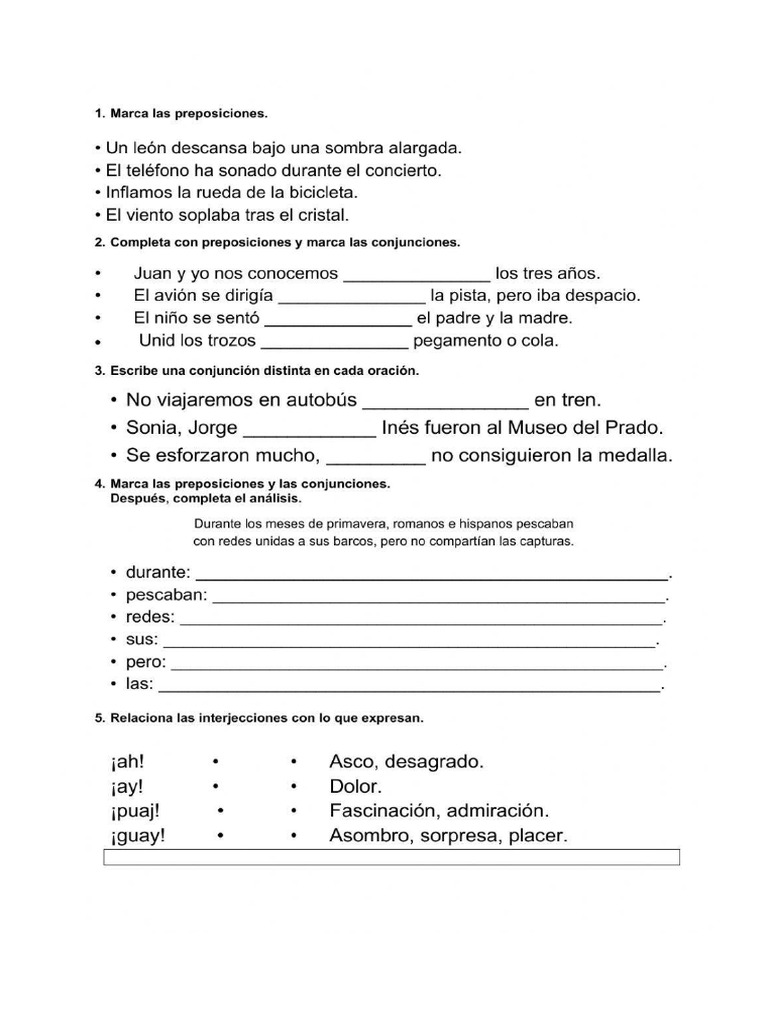 Worksheet 251601 | PDF
