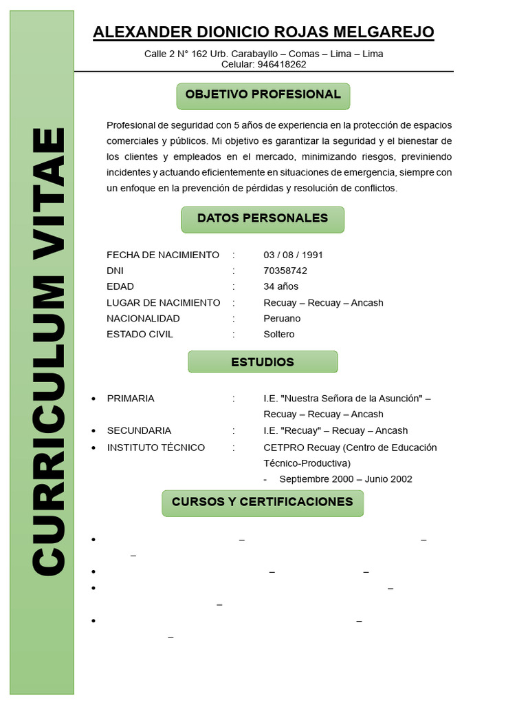 CV Alexander Dionicio Rojas Melgarejo | PDF | Vigilancia | Lima
