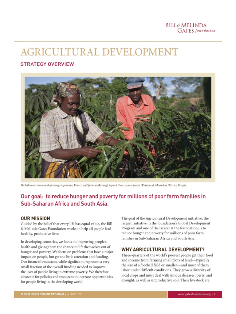 Agricultural Development Strategy Overview | PDF | Livestock | Agriculture
