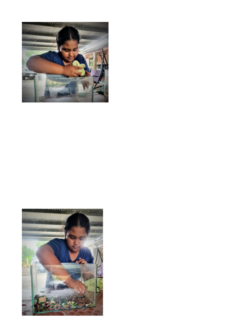 Steps in Setting Up Aquarium | PDF