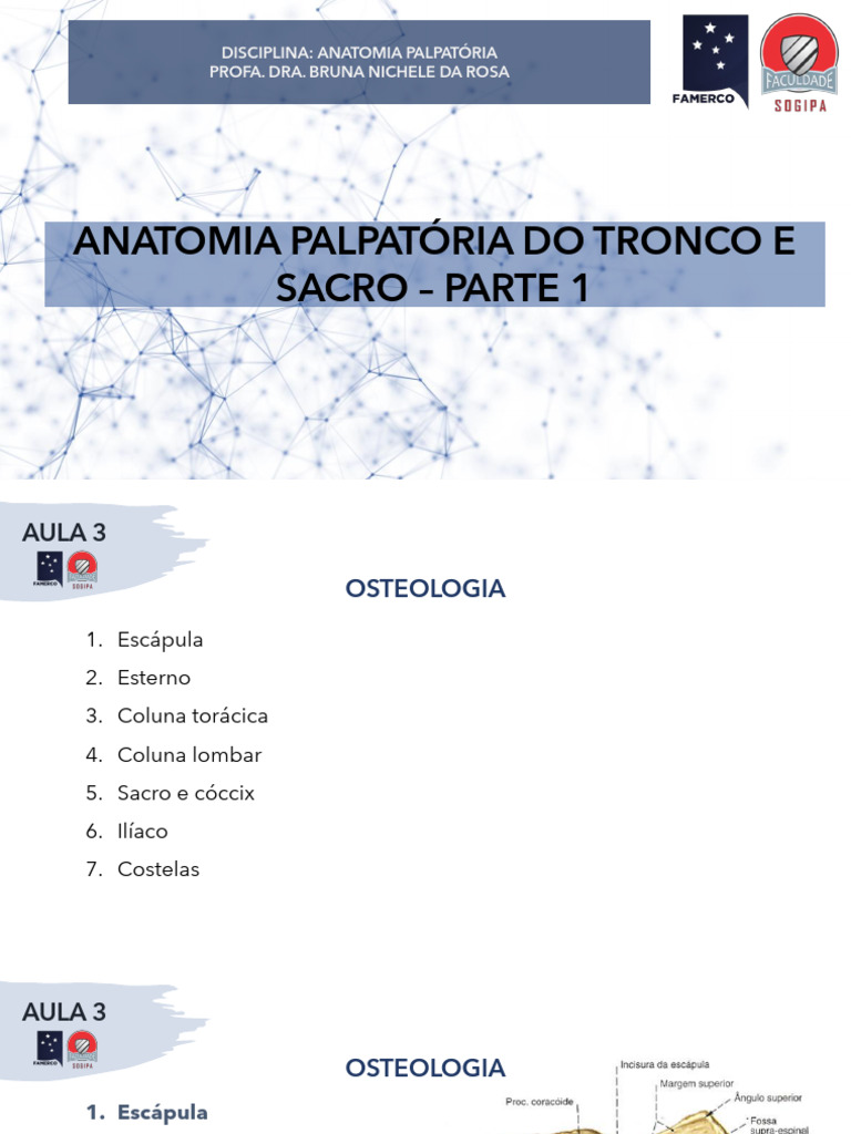 Anatomia da Fenda Interglútea | PDF | Vértebra | Sistema Locomotor