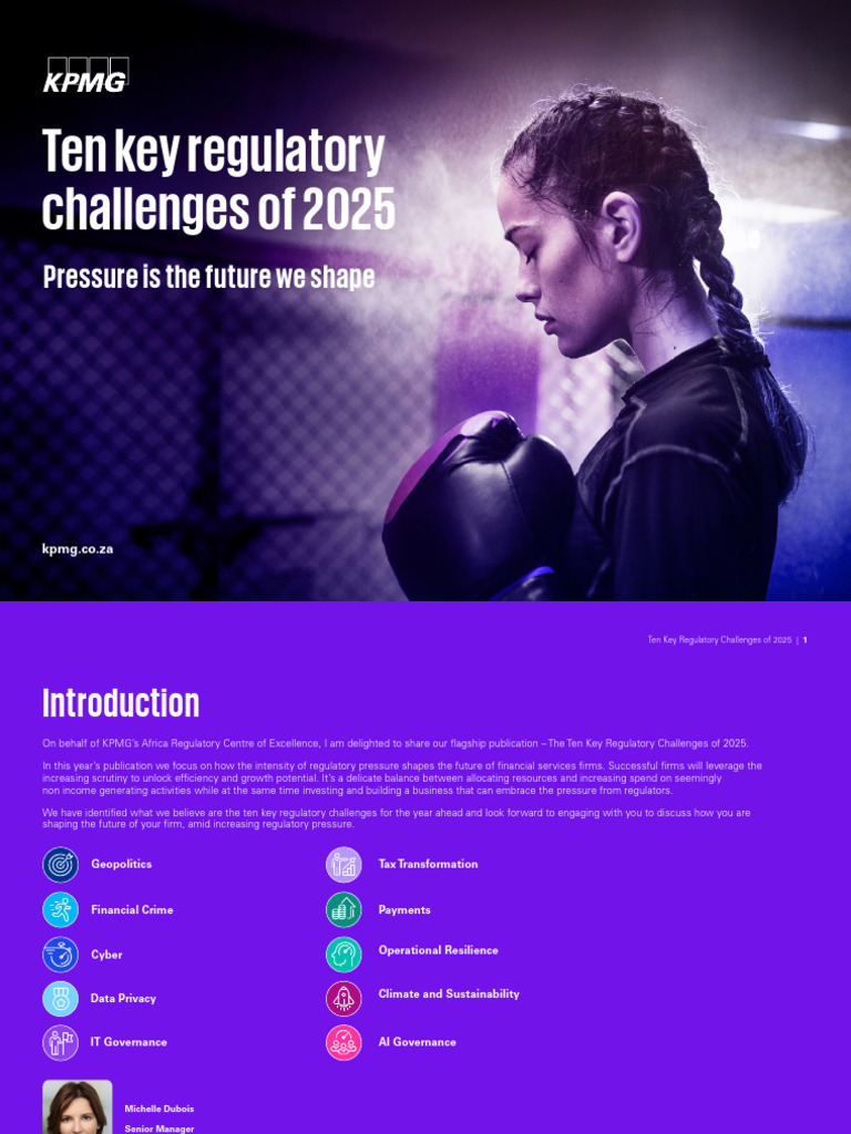 Ten Key Regulatory Challenges 2025 Final | PDF | Computer Security ...