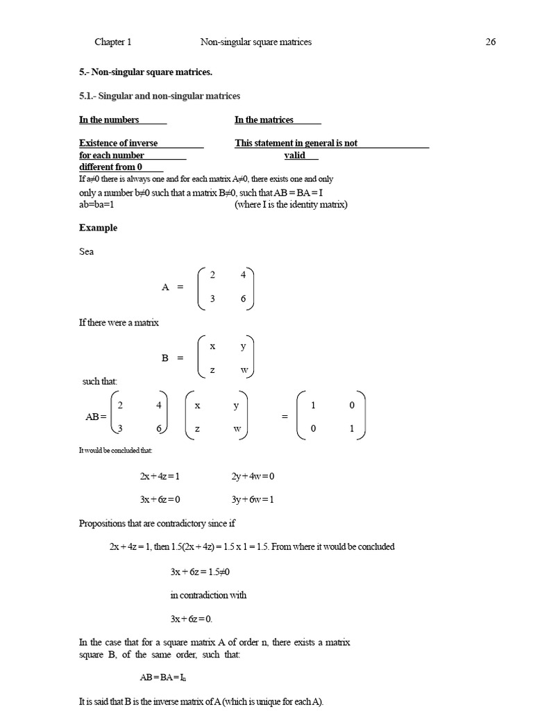 13 Non-Singular Square Matrices | PDF | Matrix (Mathematics) | System ...