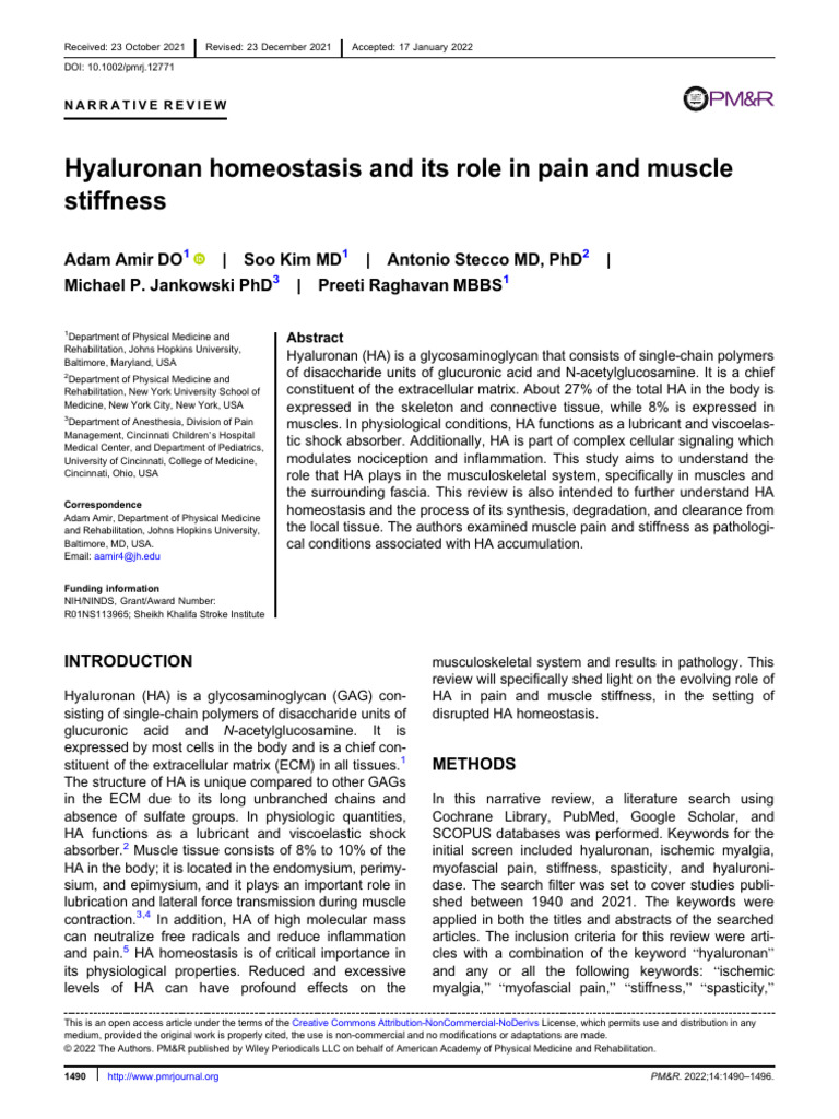 Hyaluronan's Role in Pain and Stiffness | PDF | Extracellular Matrix ...