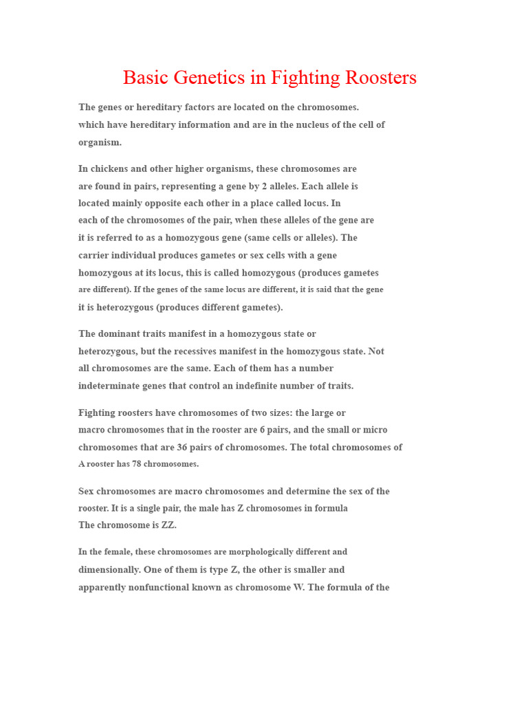 Genetics of Fighting Roosters | PDF | Zygosity | Allele
