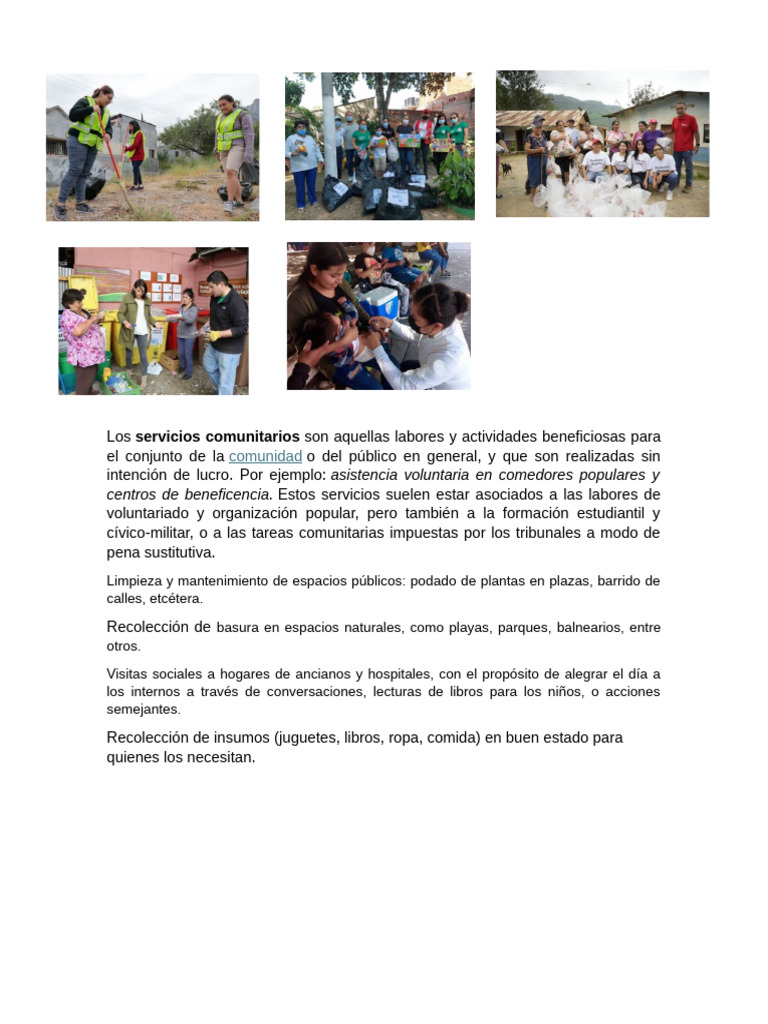 Tipos de Servicios Comunitarios | PDF