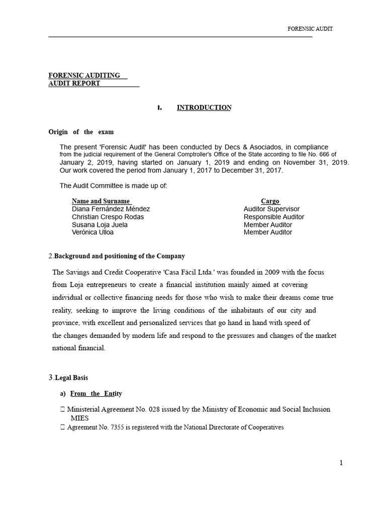 Final Report of FORENSIC AUDIT EXAMPLE | PDF | Internal Control | Risk
