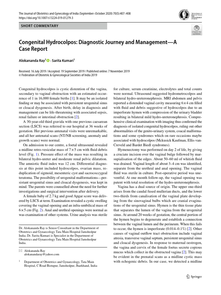 Hidrocolpos Diagnóstico y Tratamiento de Un Caso | PDF | Vagina | Human ...