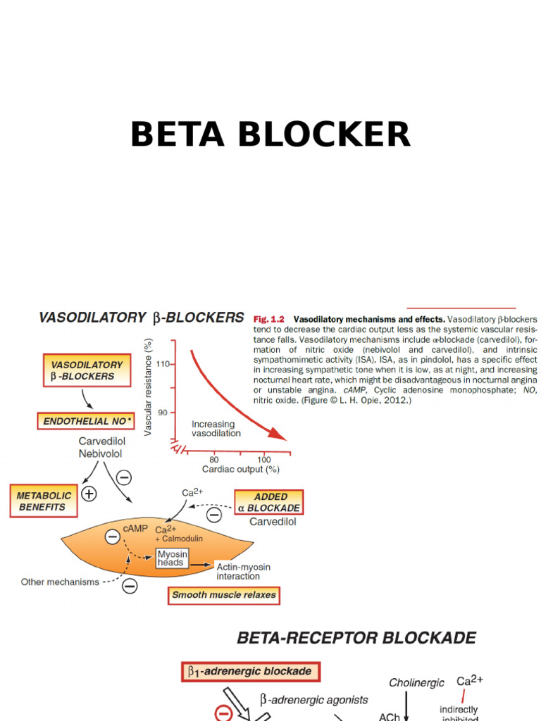 Beta Blocker | PDF