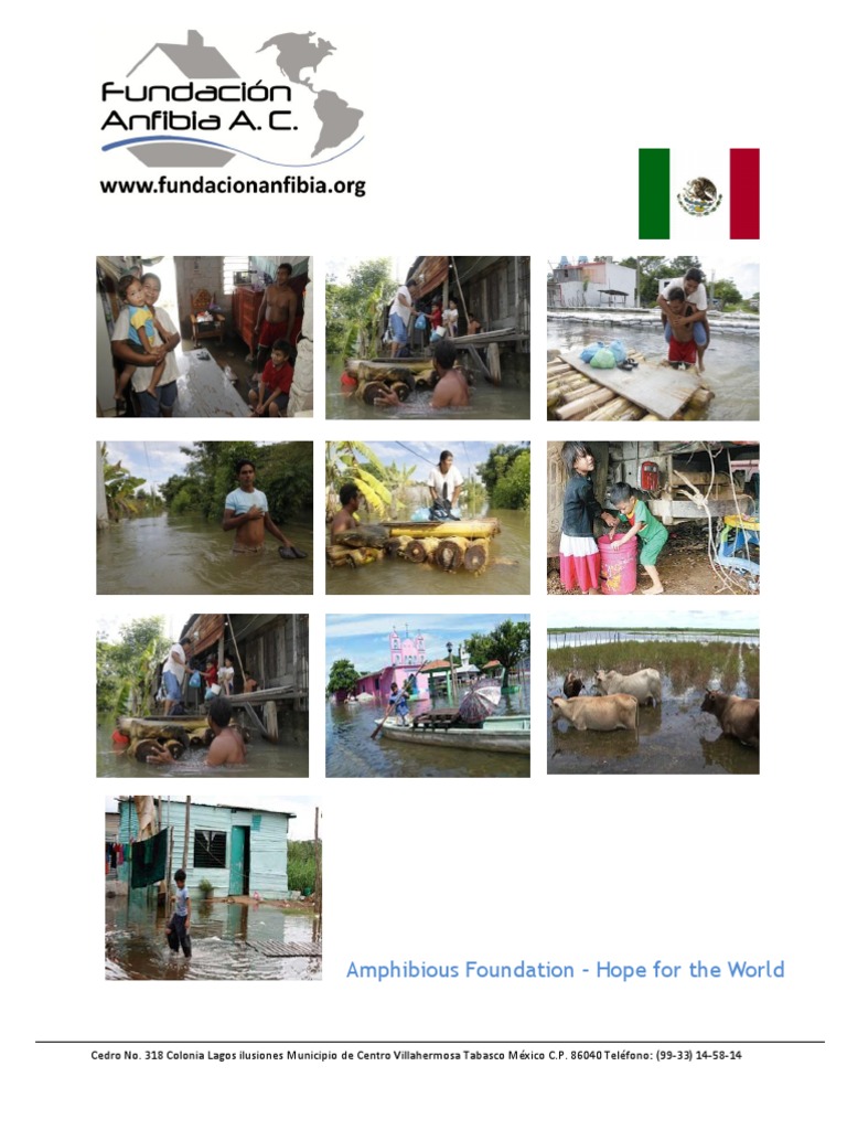 2012 Publications English Amphibious Foundation PP | PDF ...