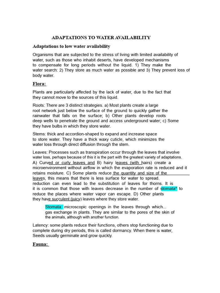 Adaptations To Water Availability | PDF | Leaf | Water