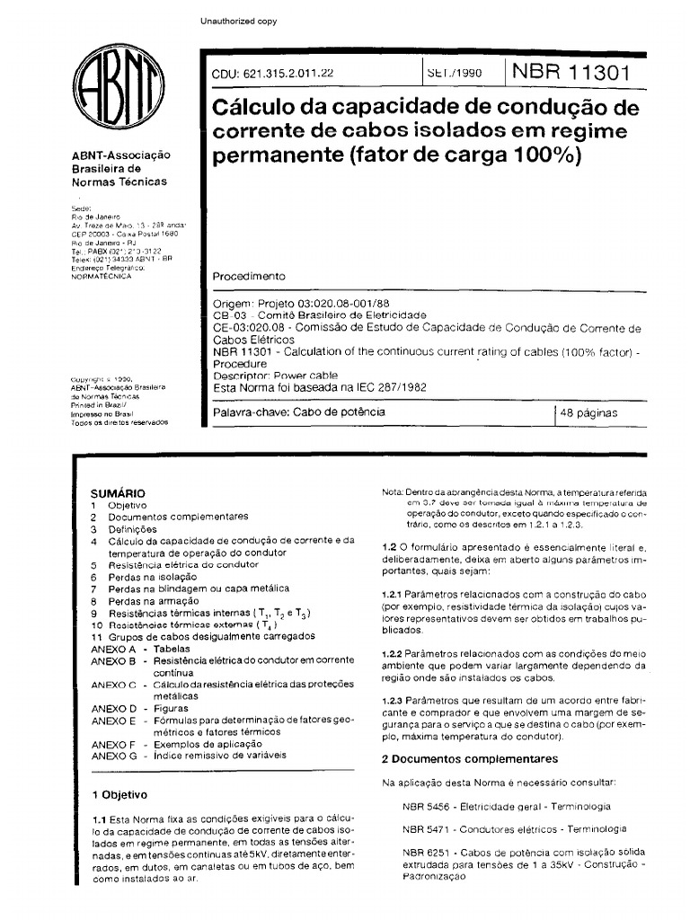 NBR 11301 Unauthorized Copy Notice | PDF