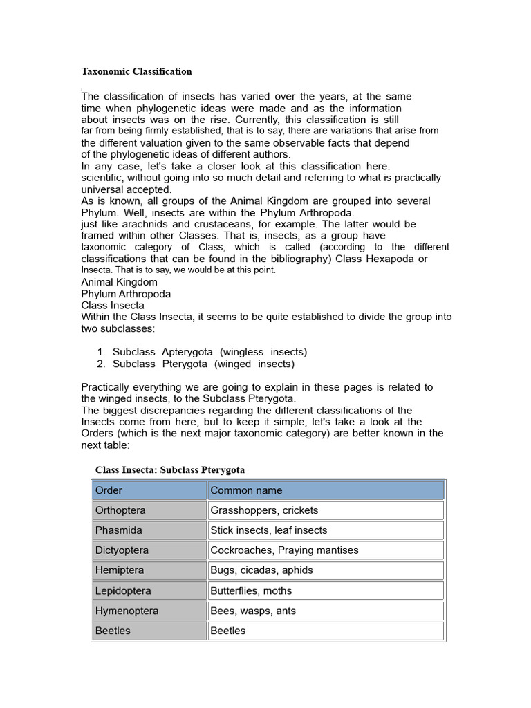 Insect Taxonomic Classification Overview | PDF | Insects | Fly