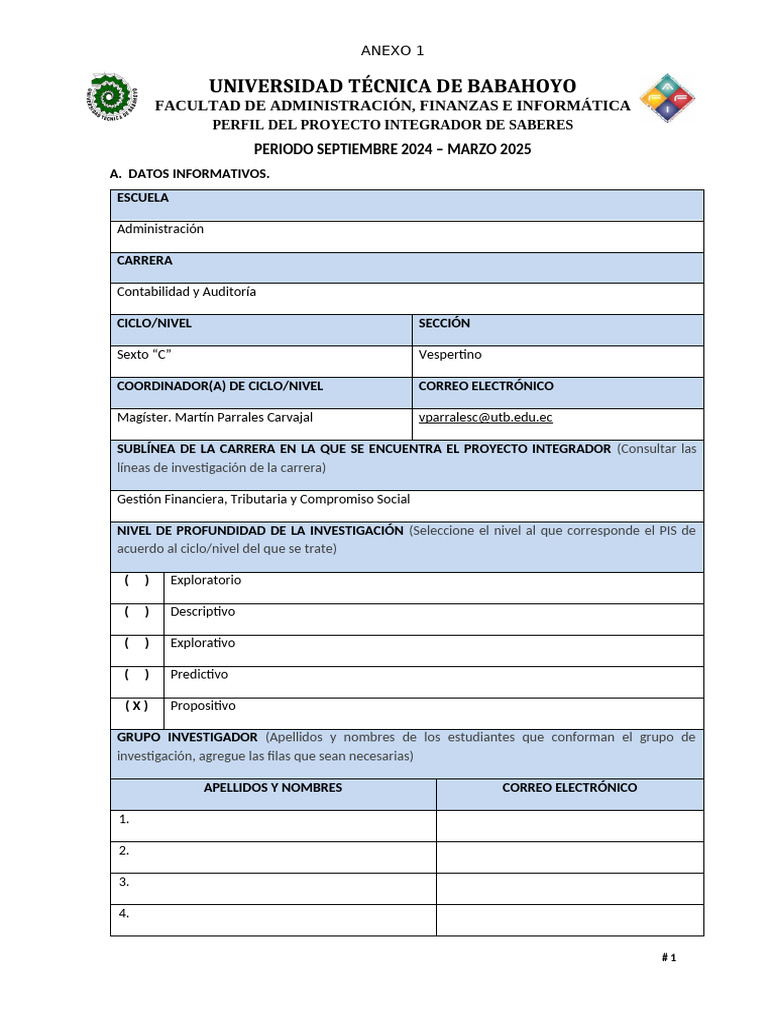 2 Modelo Anexo 1 MAYRA | PDF | Datos | Auditoría