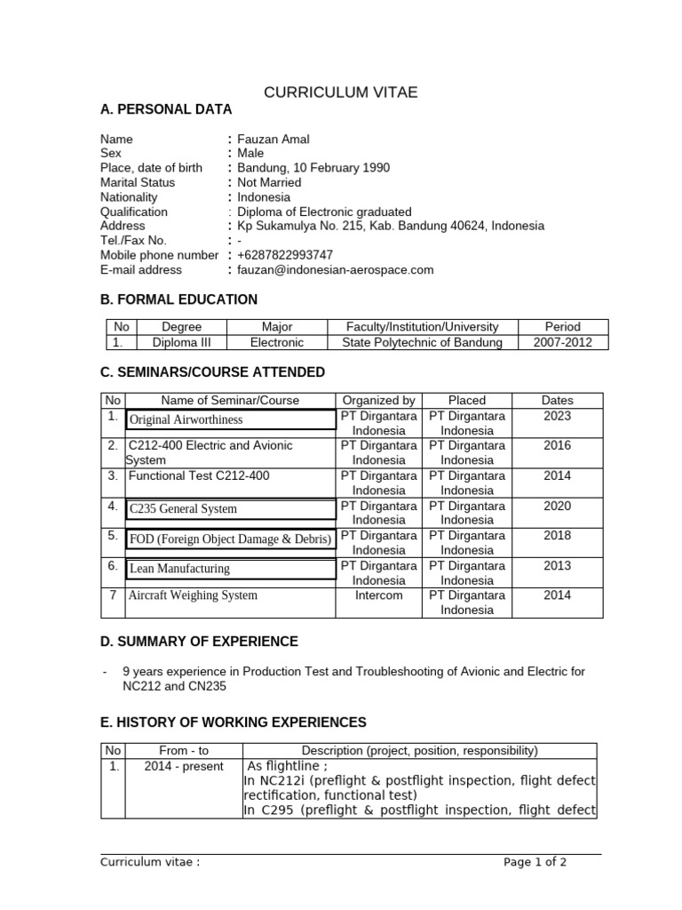 CV Full Fauzan | PDF | Aviation | Transport
