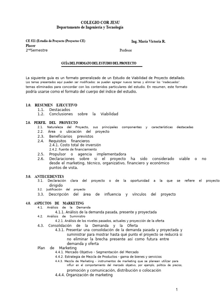 Guía de Formato para El Estudio Del Proyecto | PDF | Marketing ...