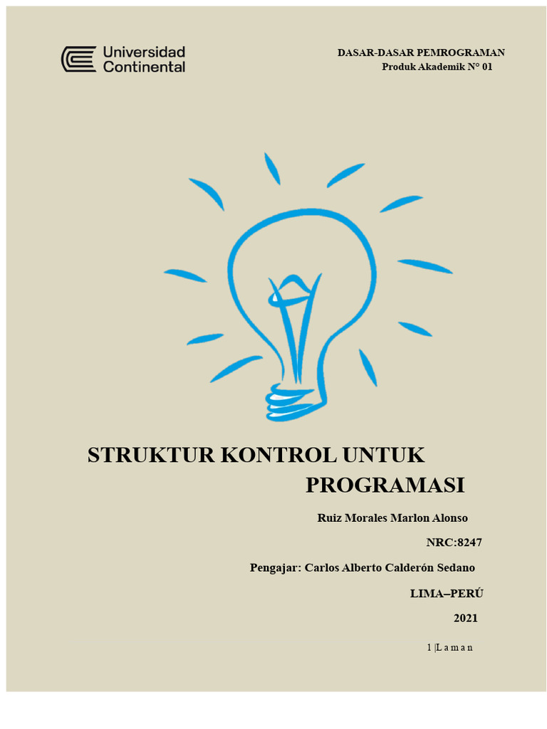 PA01 Fundamentals of Programming | PDF