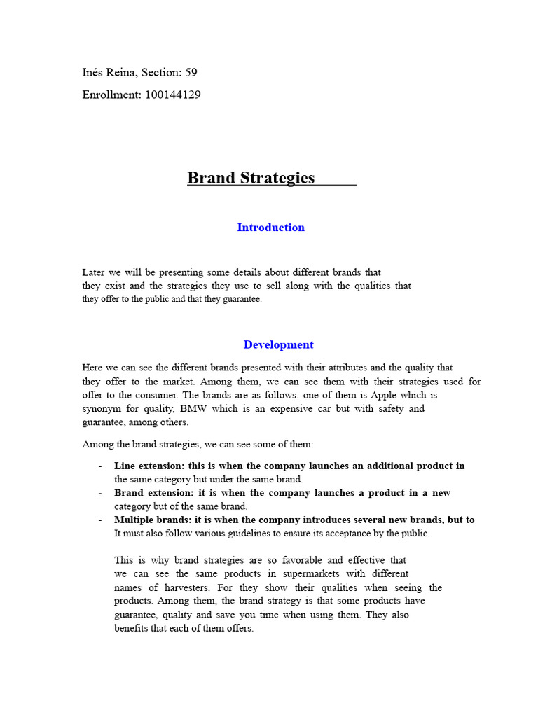 Essay On Brand Strategy | PDF