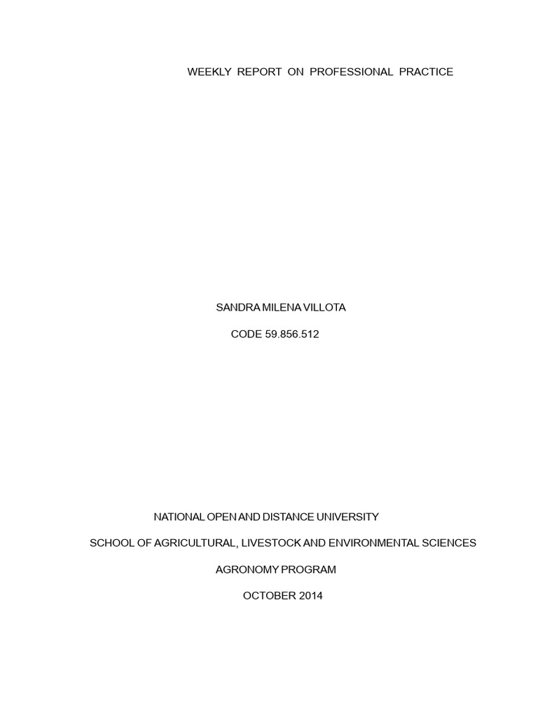 Weekly Report October 21-25 of Professional Practice. | PDF ...