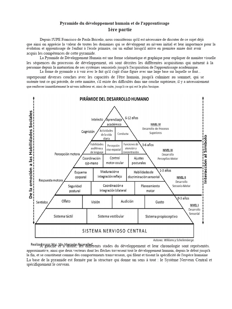 Pyramide du développement humain et apprentissage | PDF | Sens ...