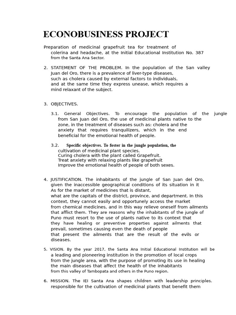 Initial Pir Eco-Business Project | PDF | Market (Economics) | Marketing